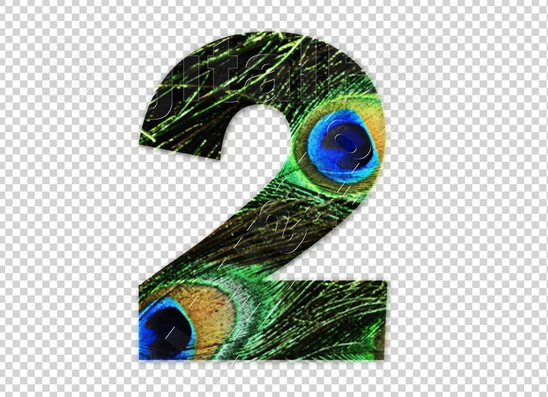 Peacock Numbers Digital Numbers PNG | Etsy