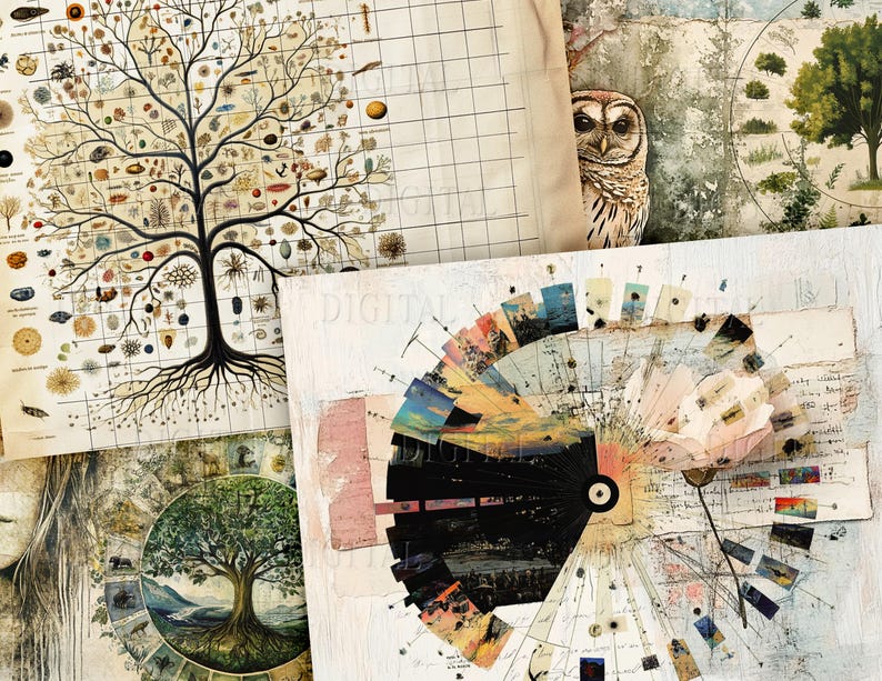 Phenology Paper, 22 Seasonal Digital Pages, Green Junk Journal, PDF - Etsy