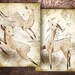 Deer Spirit Animal Ephemera 10 Deer Printable Junk Journal - Etsy