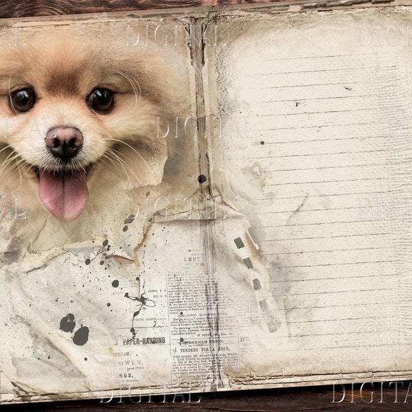 Pomeranian Dog - Etsy