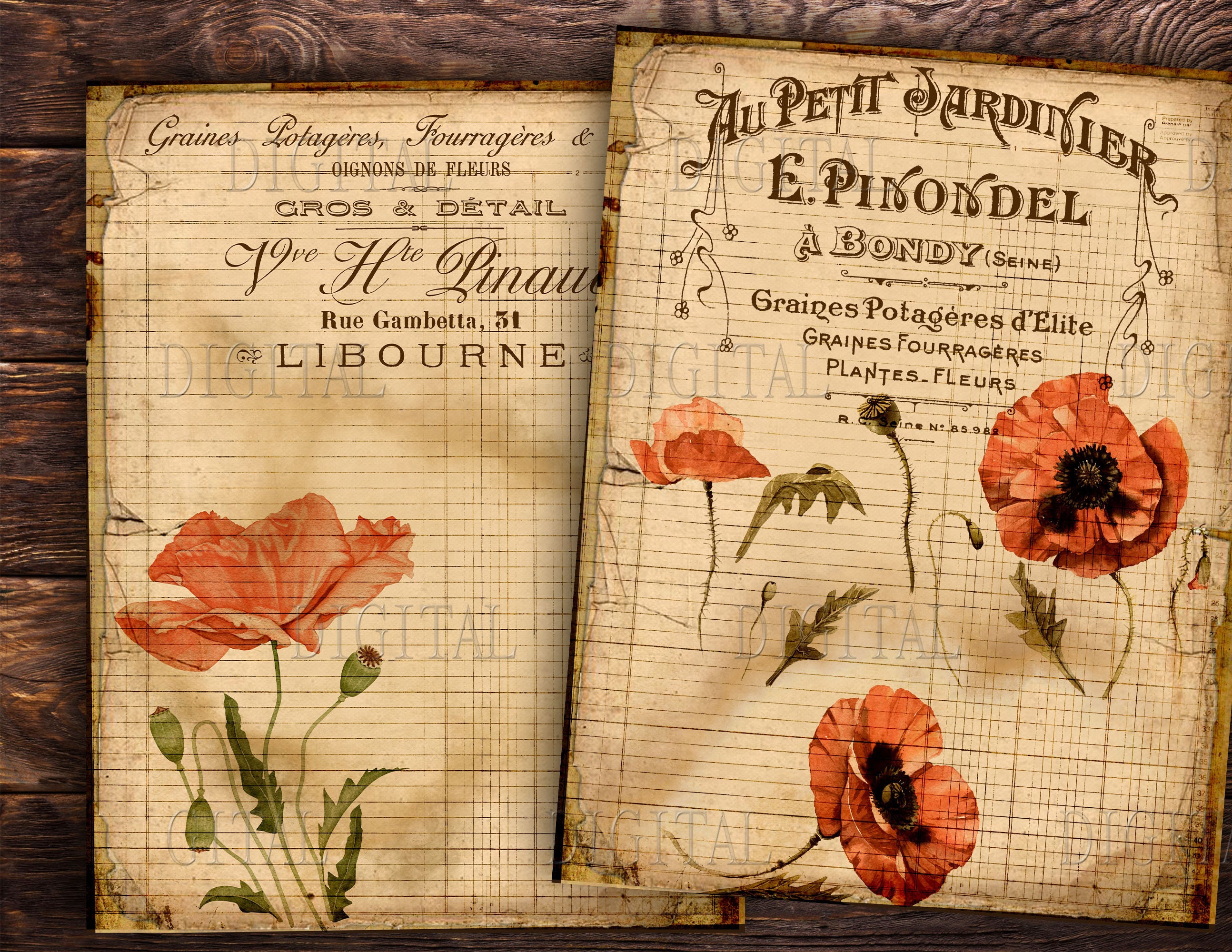Poppy Flower Printable Ledger Pages, 8 Poppy Flowers Art Spring Collage ...