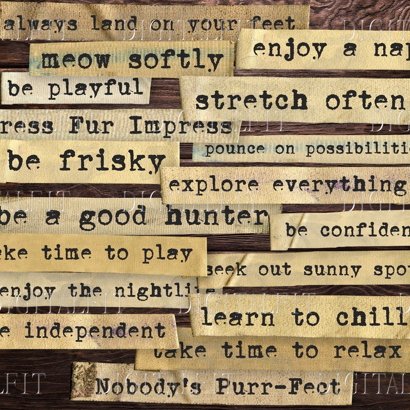 Cat Art With Words - Etsy