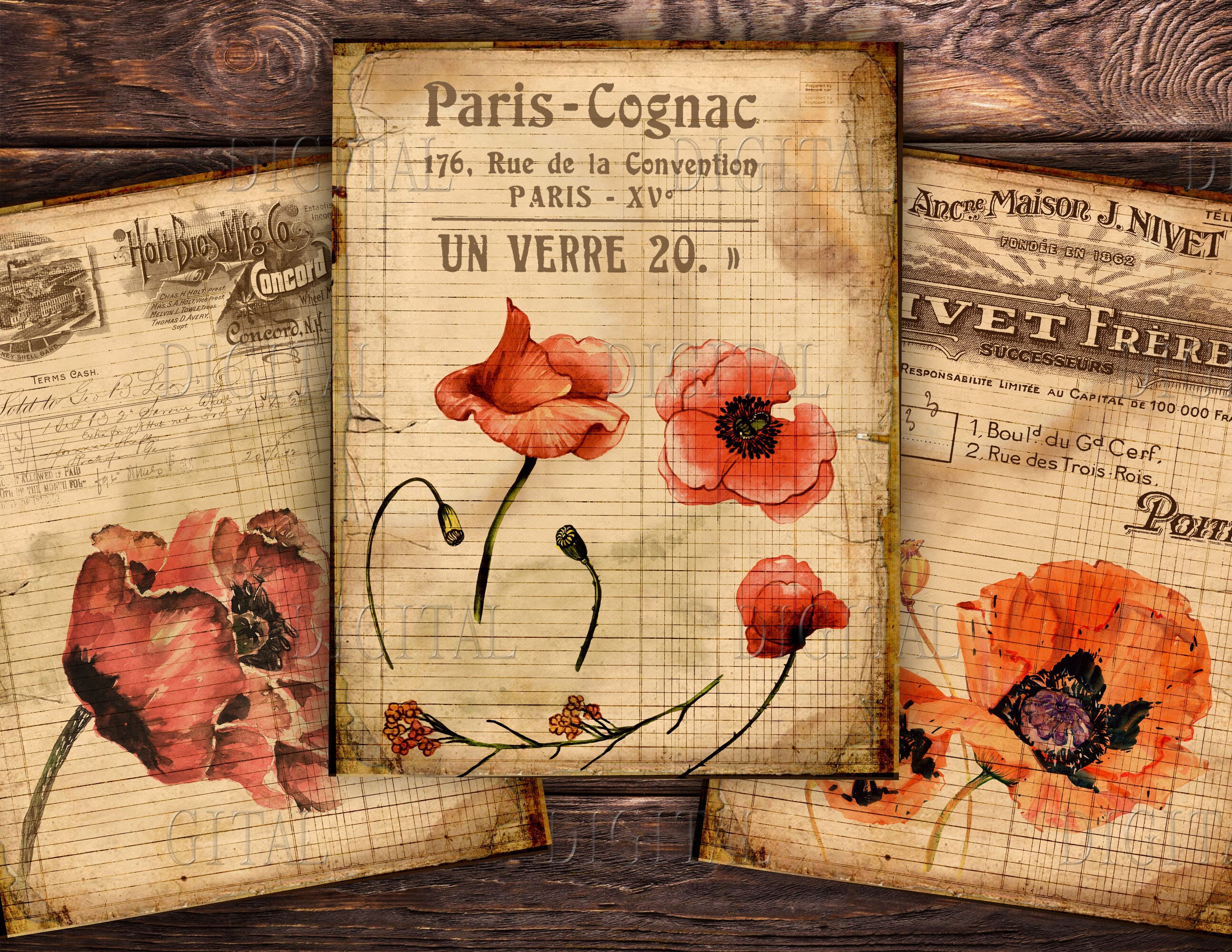 Poppy Flower Printable Ledger Pages, 8 Poppy Flowers Art Spring Collage ...