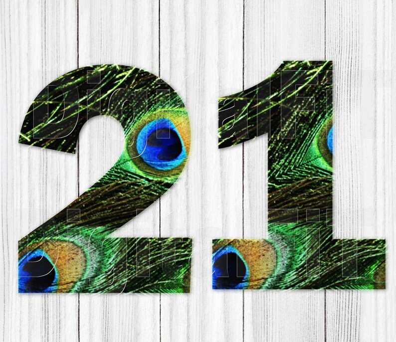 Peacock Numbers Digital Numbers PNG | Etsy