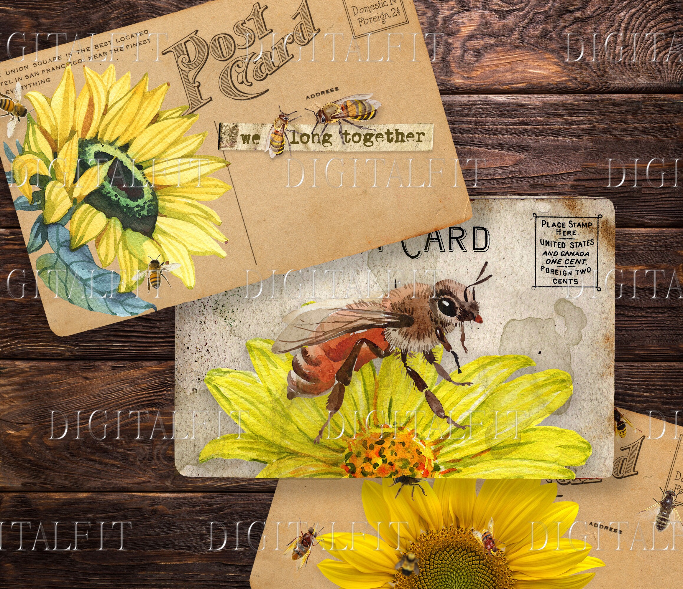 Bee Sunflowers Postcards, Vintage Bees Printable Ephemera, 6 Sunflower ...