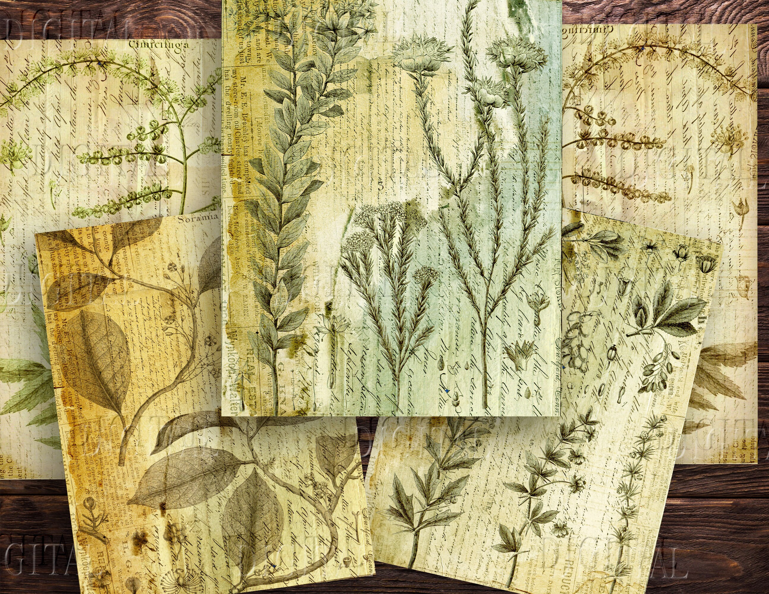 Botanical Junk Journal Printable 14 Vintage Scrapbooking - Etsy
