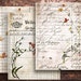 Field Flowers Printable Ledger Paper, 6 Junk Journal Pages & Ledger ...