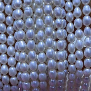 Natural Freshwater Pearls Shell Oval Beads, 5-6mm South Sea Shell Pearl ...