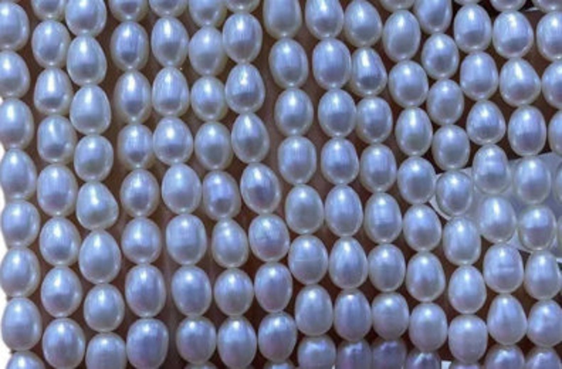 Natural Freshwater Pearls Shell Oval Beads, 5-6mm South Sea Shell Pearl ...