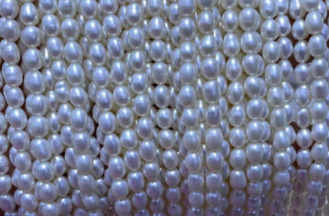 Natural Freshwater Pearls Shell Oval Beads, 5-6mm South Sea Shell Pearl ...