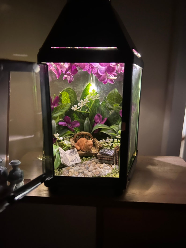 Purple Nap Garden Lantern - Etsy