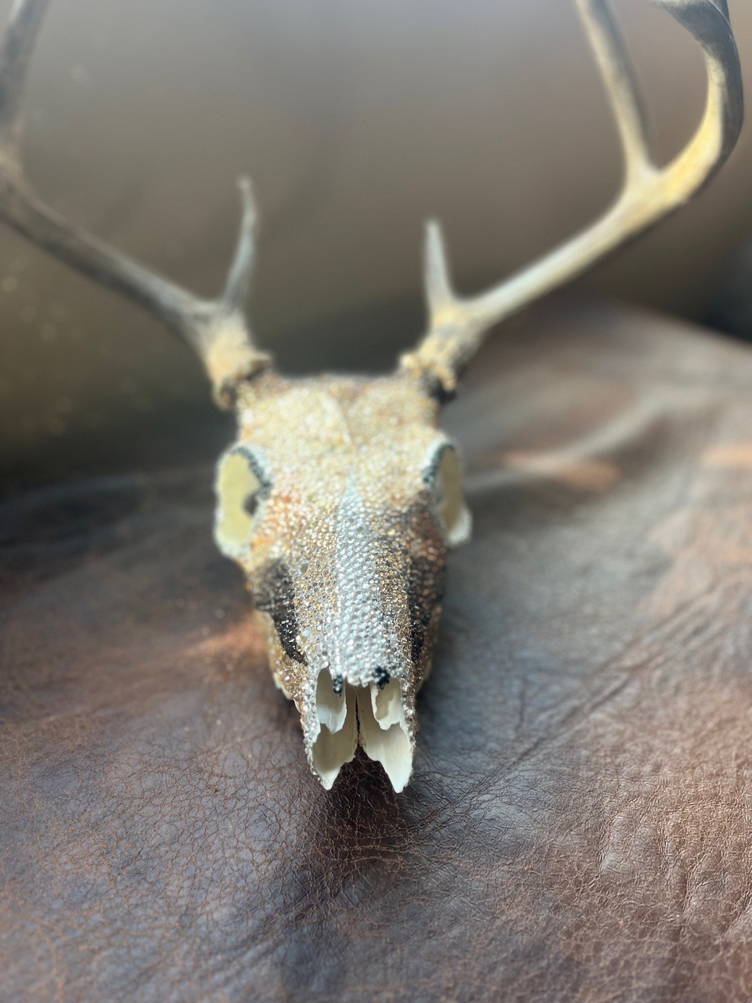 Crystal Rhinestone Deer Skull *RARE FIND* - Etsy