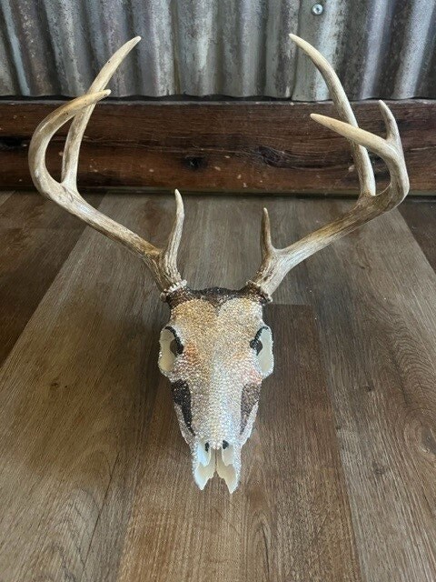 Crystal Rhinestone Deer Skull *RARE FIND* - Etsy