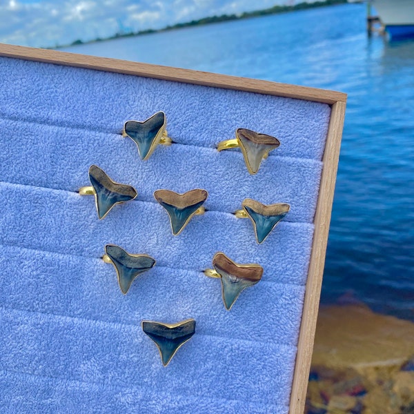 Shark Tooth Ring - Etsy