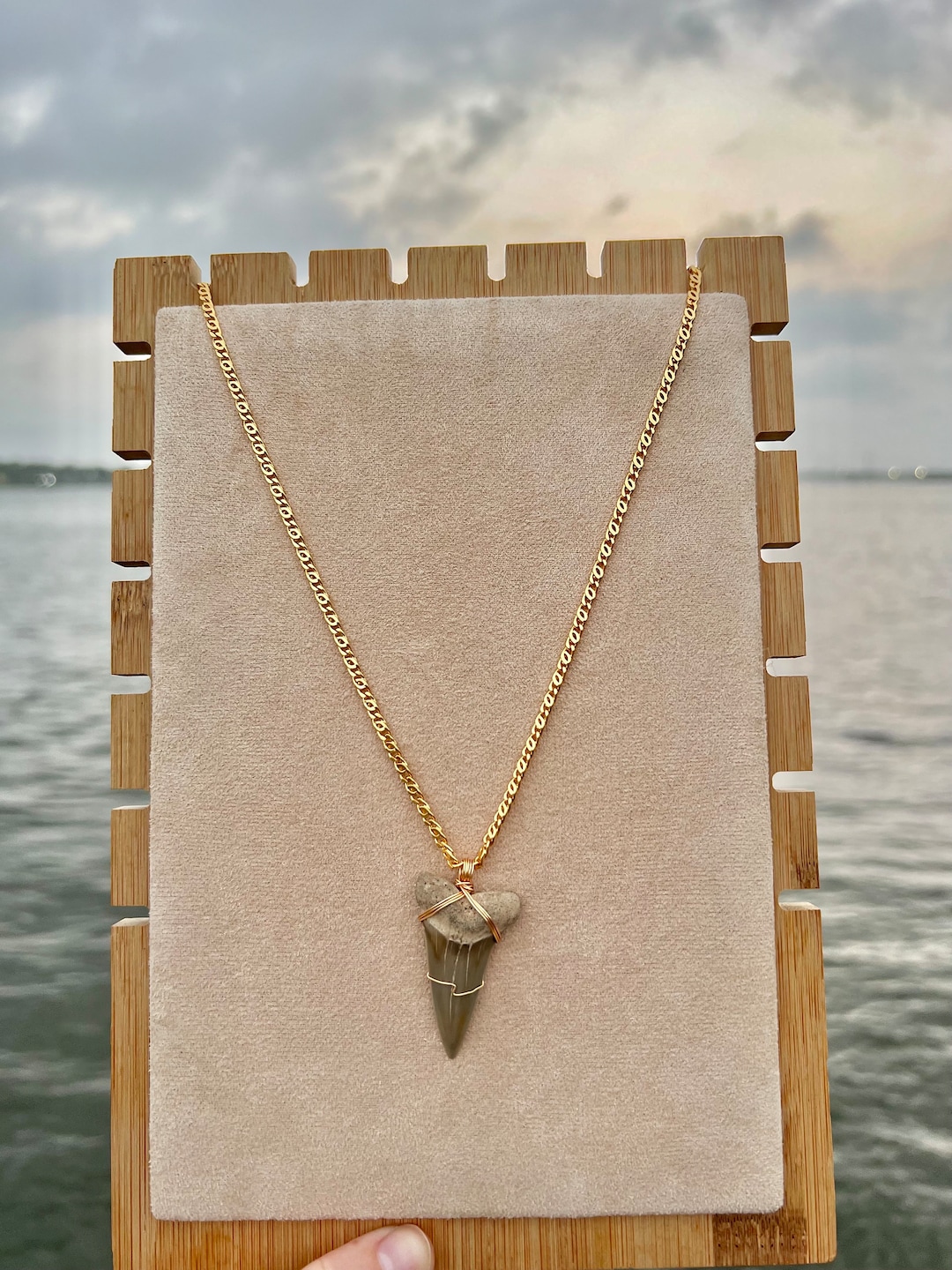 Gold Filled Megalodon Shark Tooth Necklace - Etsy