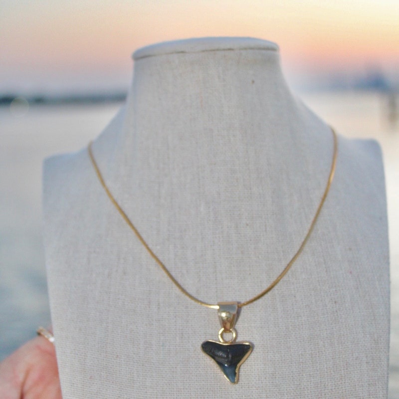 Shark Tooth Ring - Etsy