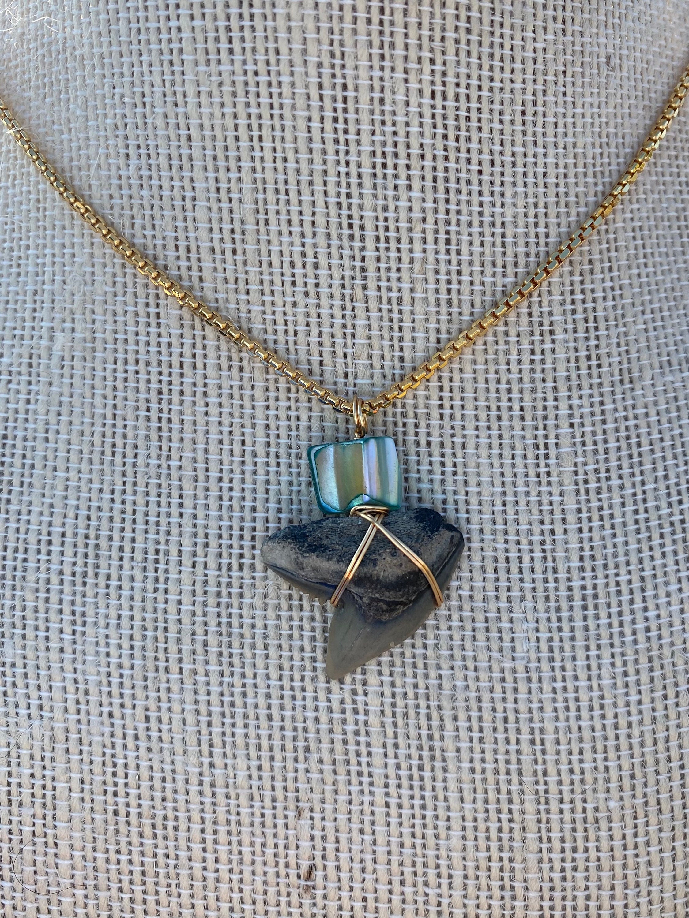 Gold Filled Posterior Tiger Shark Tooth Necklace | Etsy