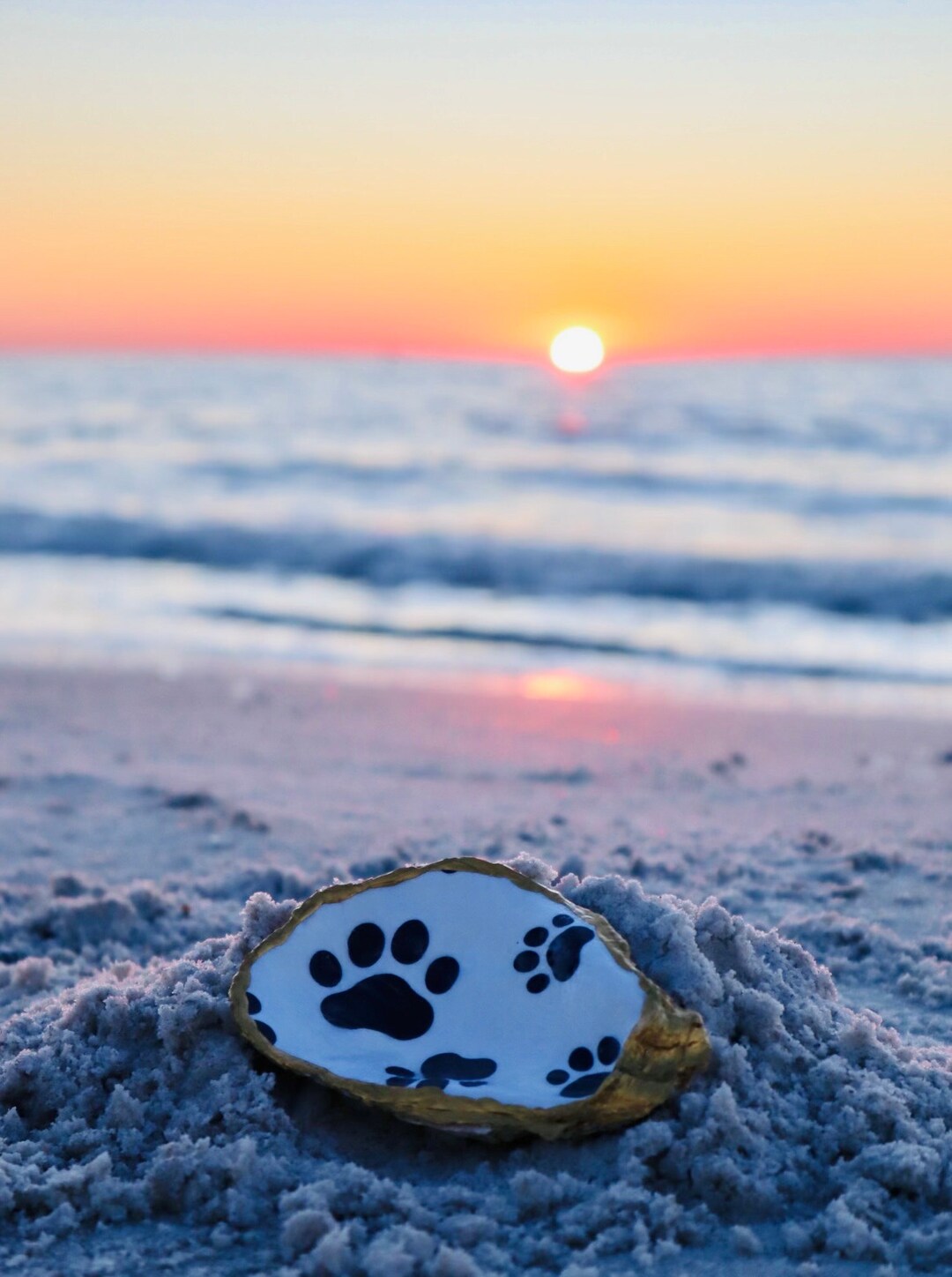 Paw Print Oyster Shell Jewelry Dish Trinket Dish - Etsy