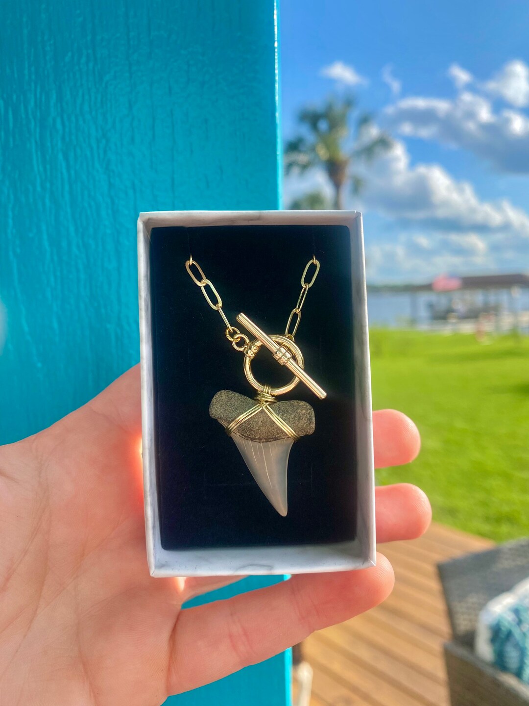 14K Gold Plated Toggle Shark Tooth Necklace - Etsy