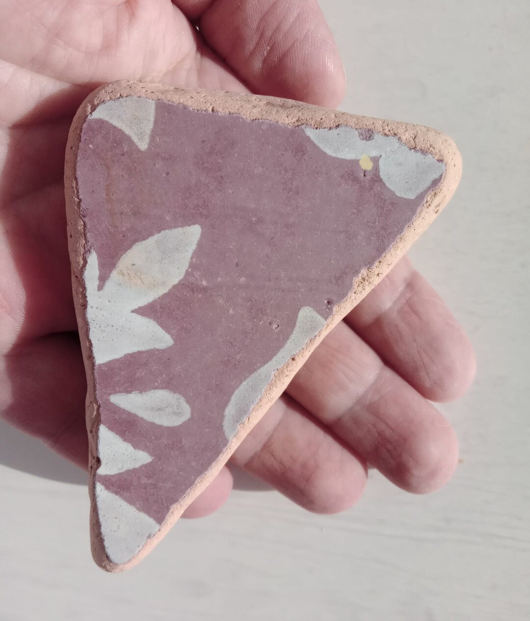 Extra Large Collector's Piece Sea Pottery/ Huge Sea Pottery/marine ...