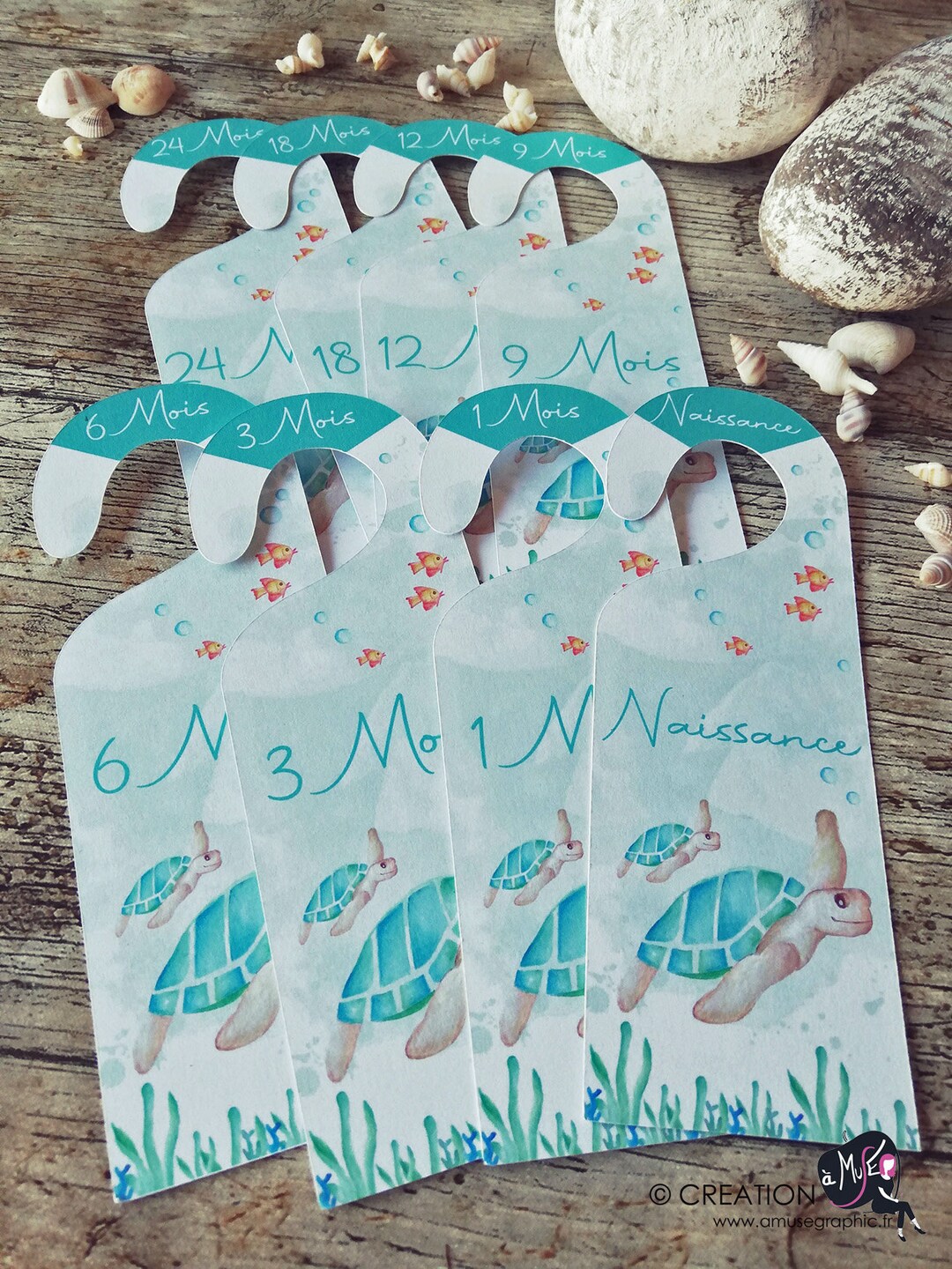 8 Dividers for Turtle Theme Wardrobe - Etsy