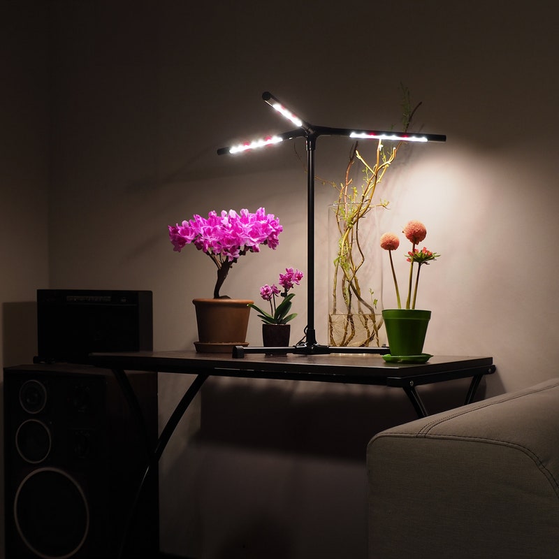 Table Top Lamp - Etsy