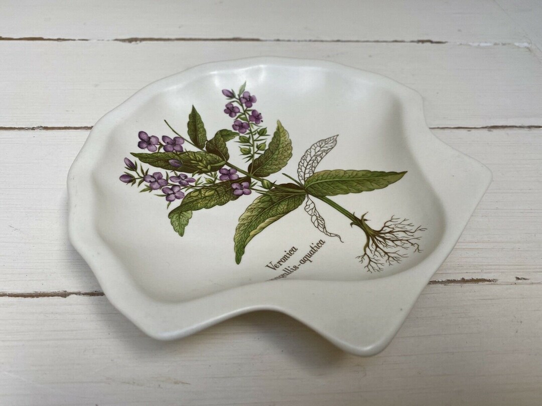 Poole Pottery Shell Soap Dish - Country Lane - Veronica Anagallis ...