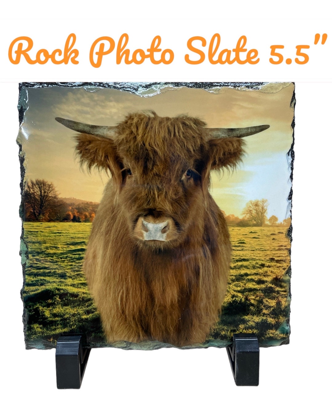 Highland Cow Photo Rock Slate - Etsy