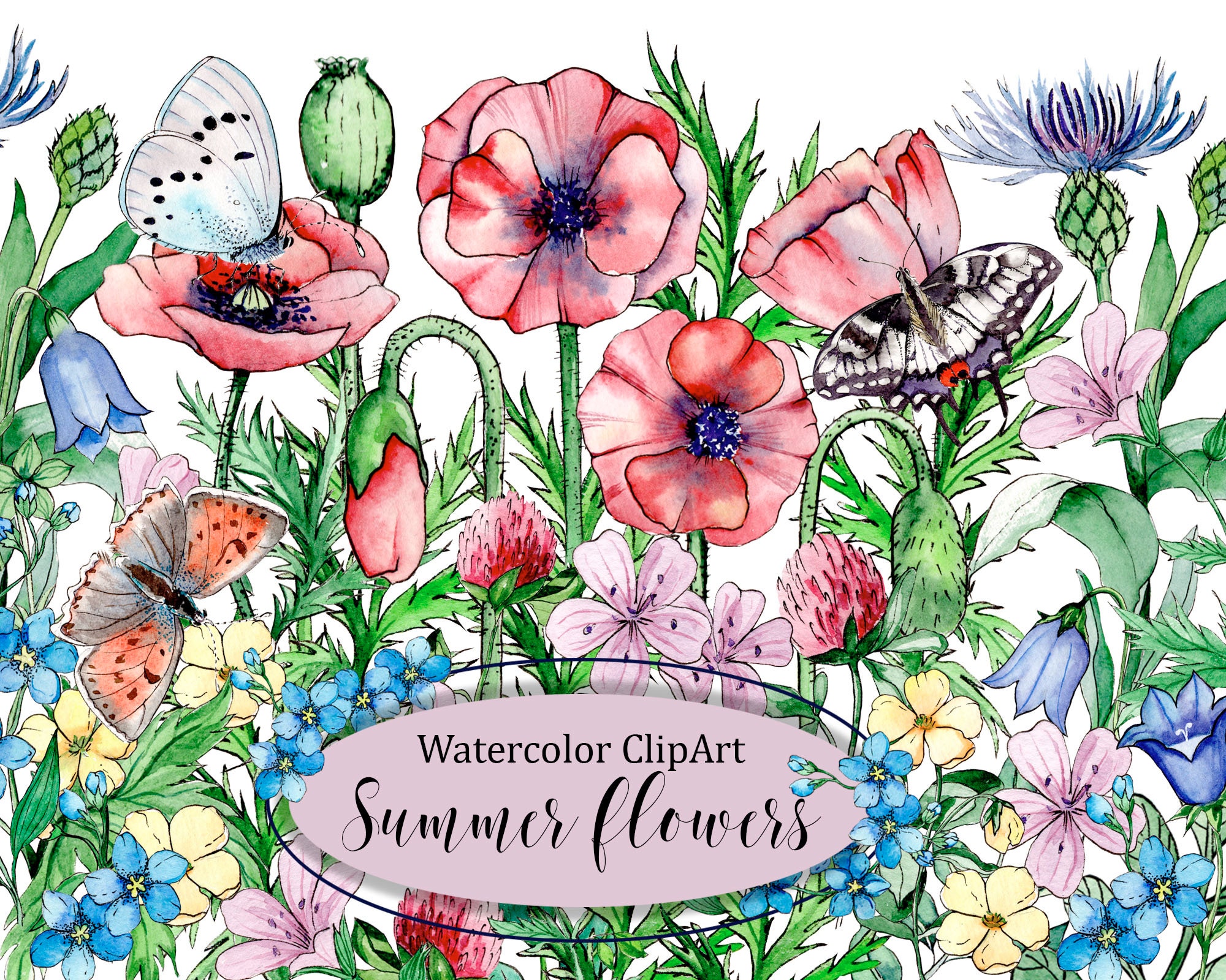 Summer Flowers Clipart Watercolor Meadow Flowers Watercolor | Etsy