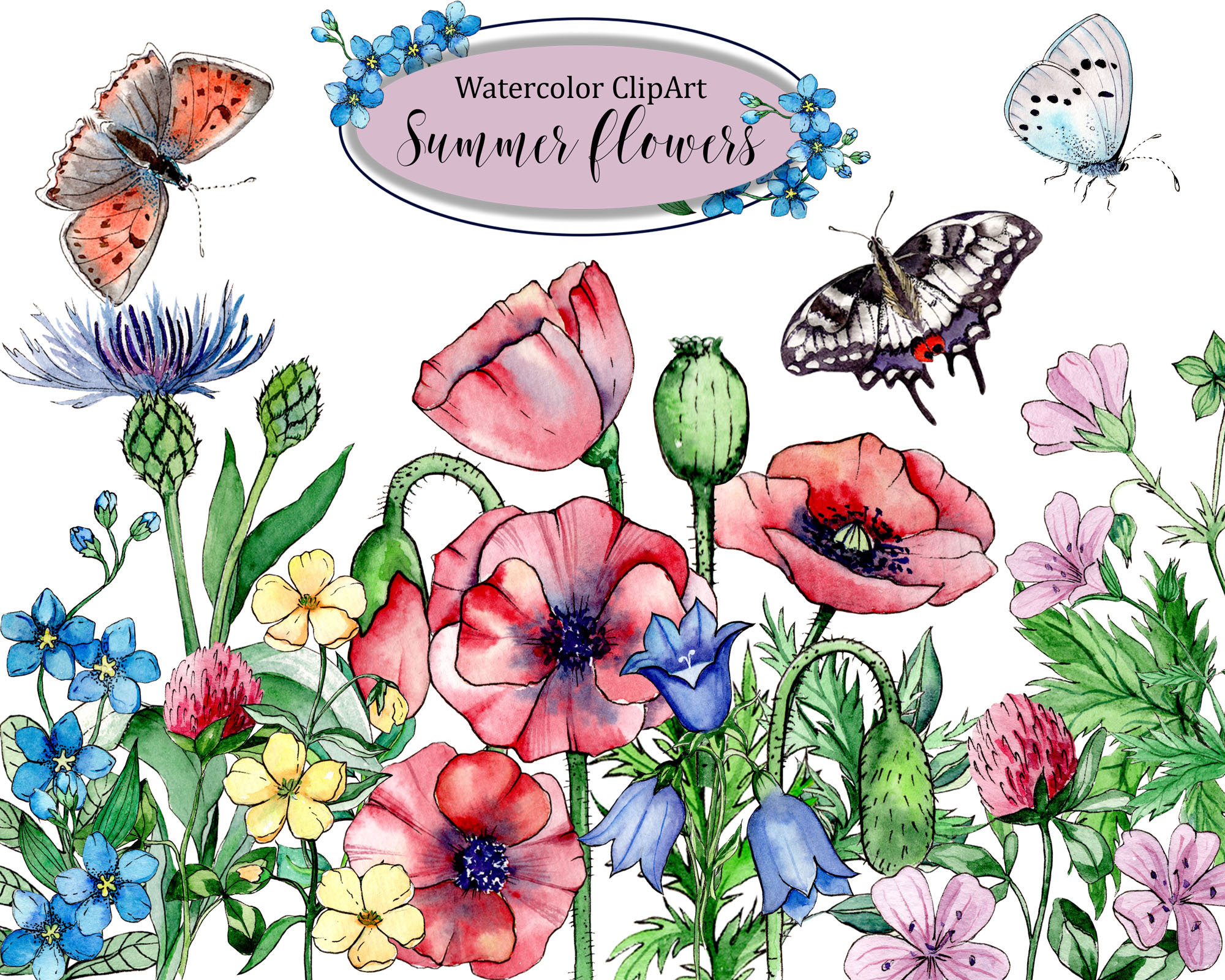 Summer Flowers Clipart Watercolor Meadow Flowers Watercolor | Etsy