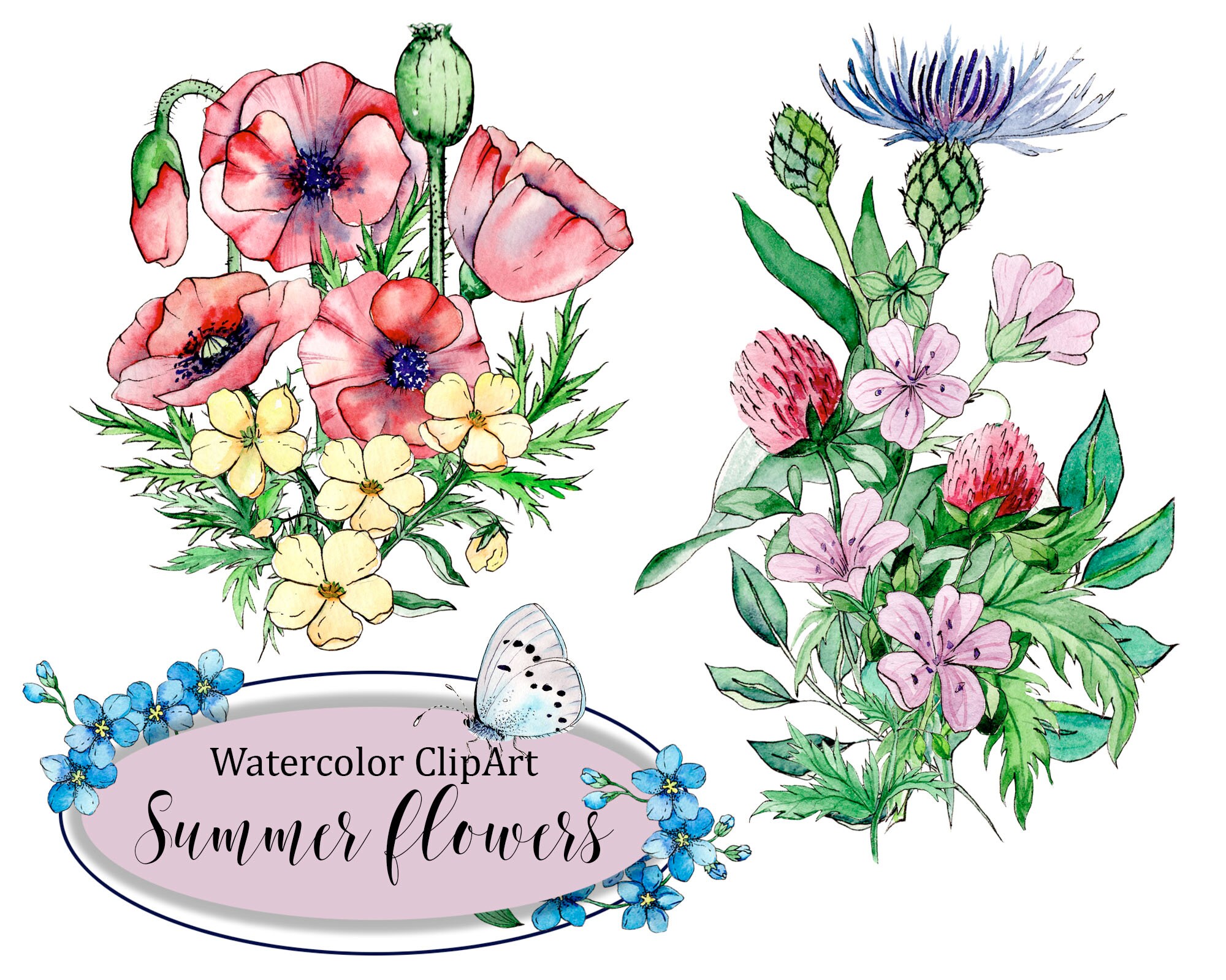 Summer Flowers Clipart Watercolor Meadow Flowers Watercolor | Etsy