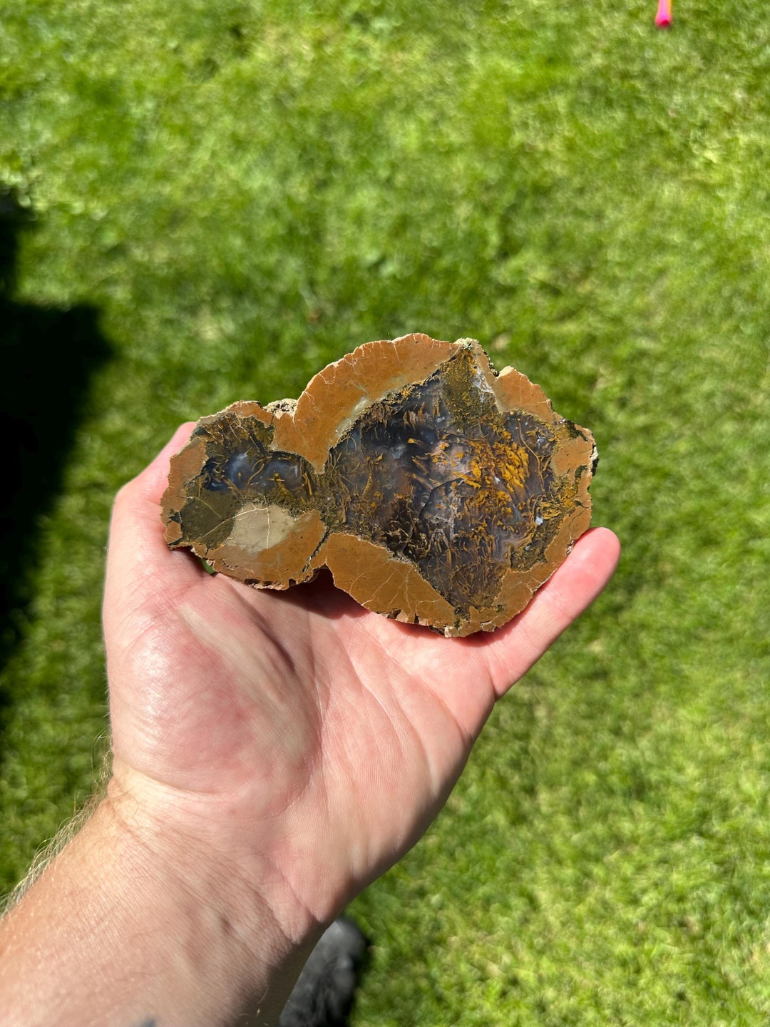 Oregon Moss Agate Thunderegg, Richardson's Rock Ranch, Polished Oregon ...
