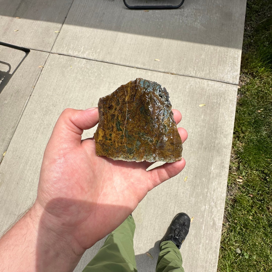 Ochoco Moss Agate, Polished Oregon Agate, Large Display Specimen ...