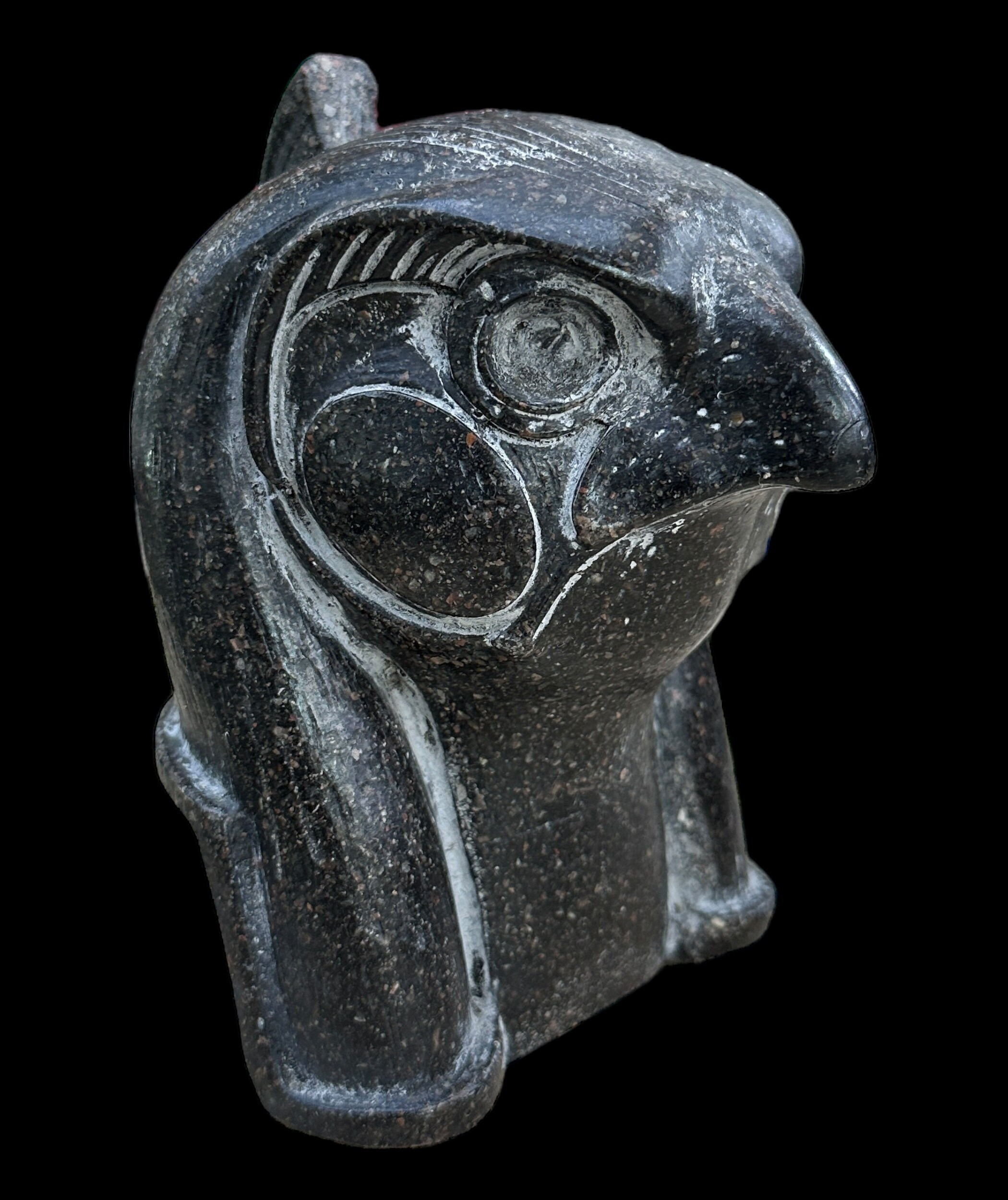 Horus Falcon Bust- Ancient Egyptian Sky God Horus - Hand-carved Black ...