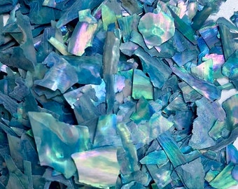 Abalone Shells for Resin Art - Etsy