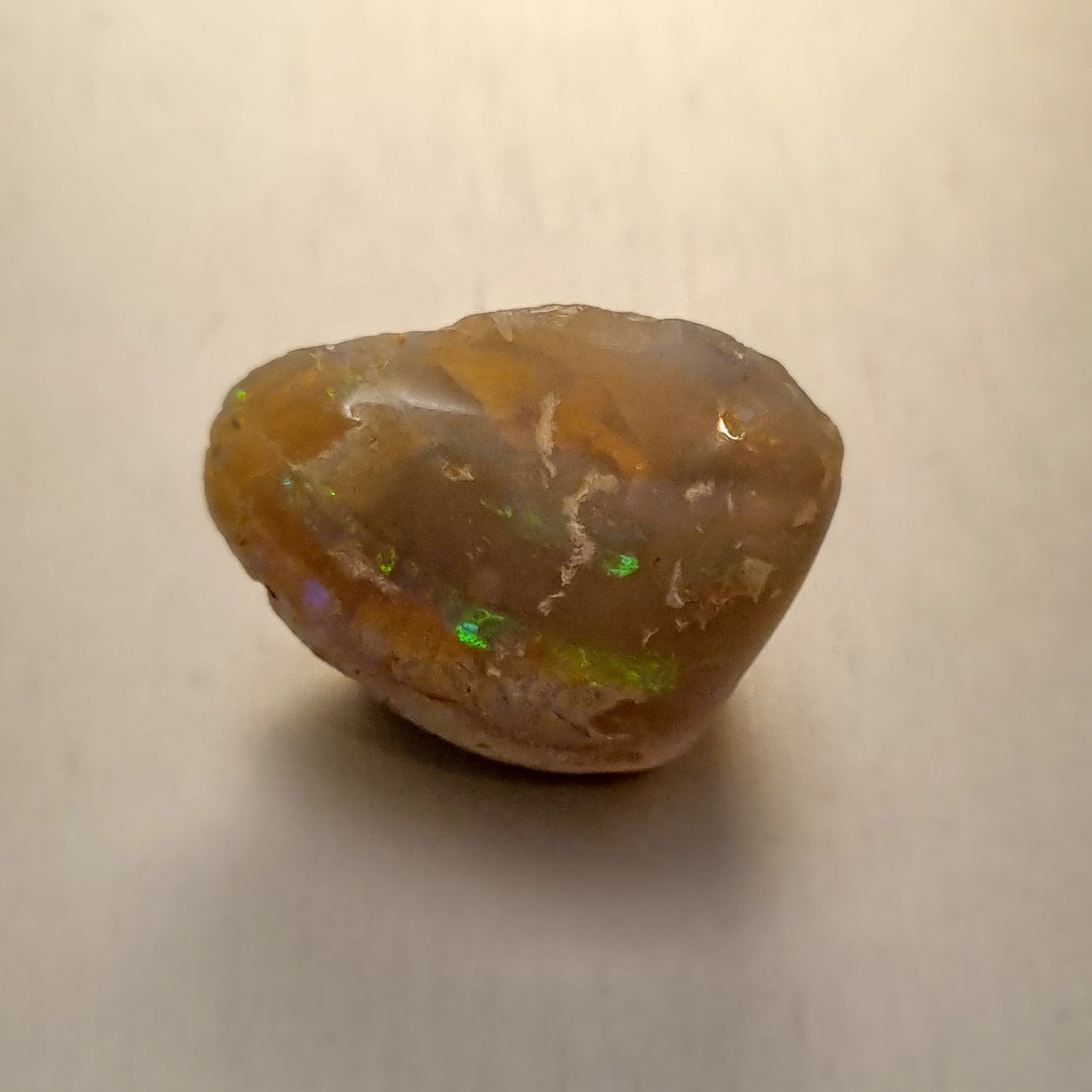 Coober Pedy Opalised Shell Fossil - Etsy