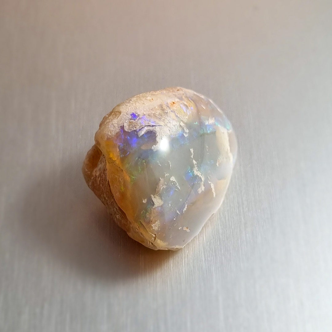 Coober Pedy Opalised Shell Fossil - Etsy