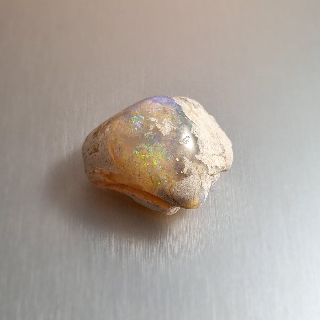 Coober Pedy Opalised Shell Fossil - Etsy