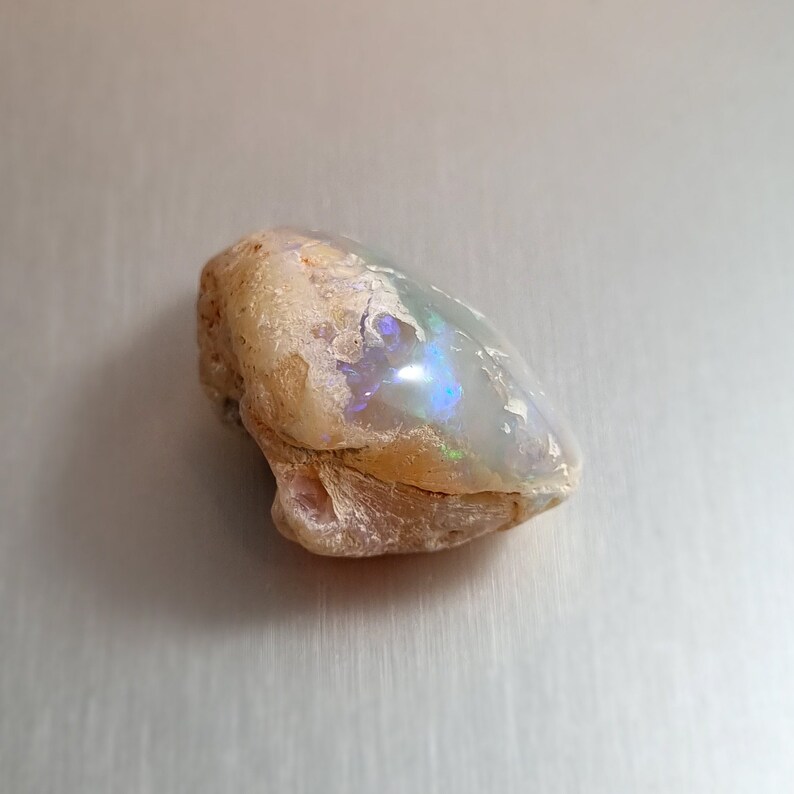 Coober Pedy Opalised Shell Fossil - Etsy