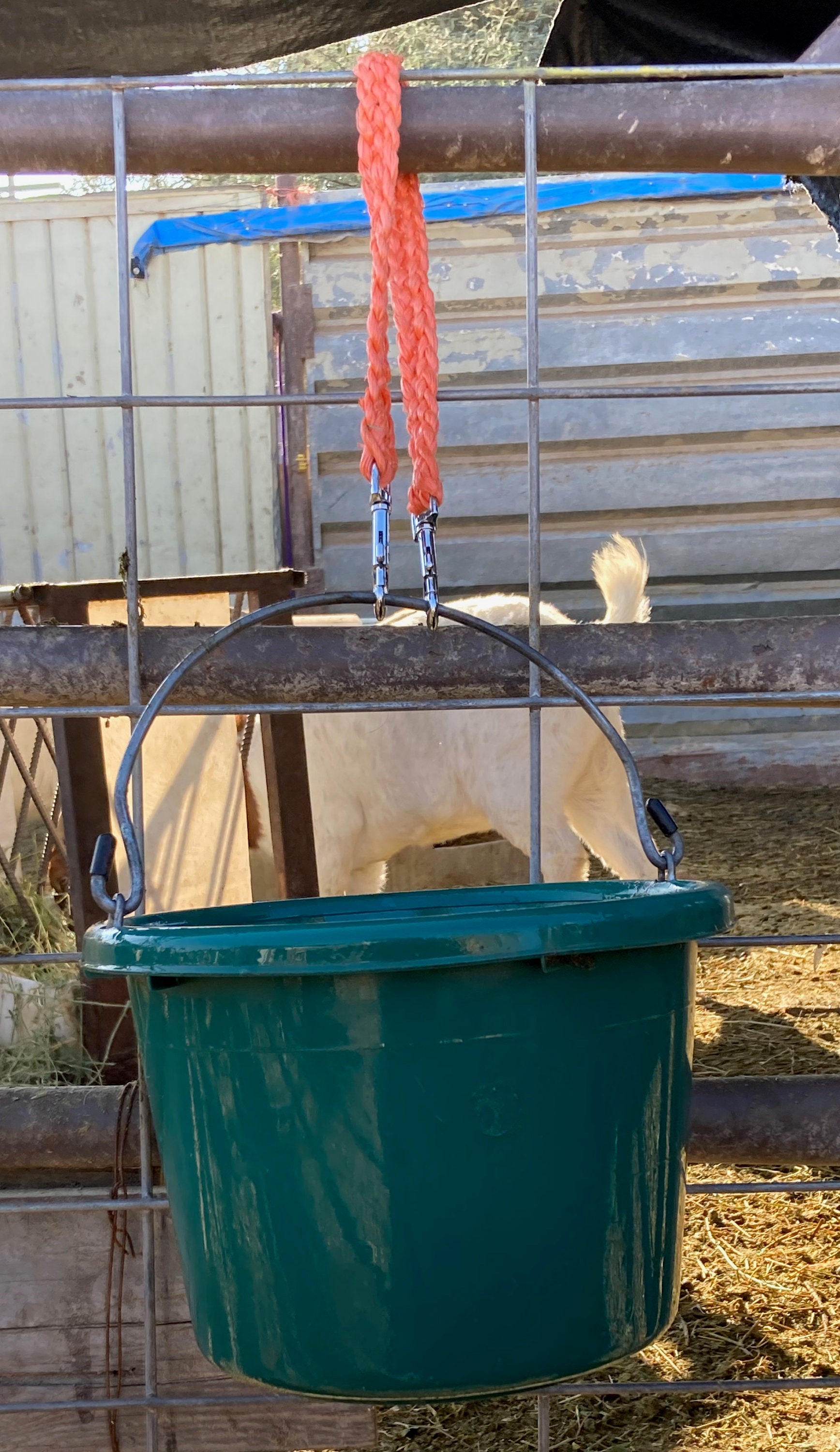 Double Ended Goat Tie Strap - Etsy