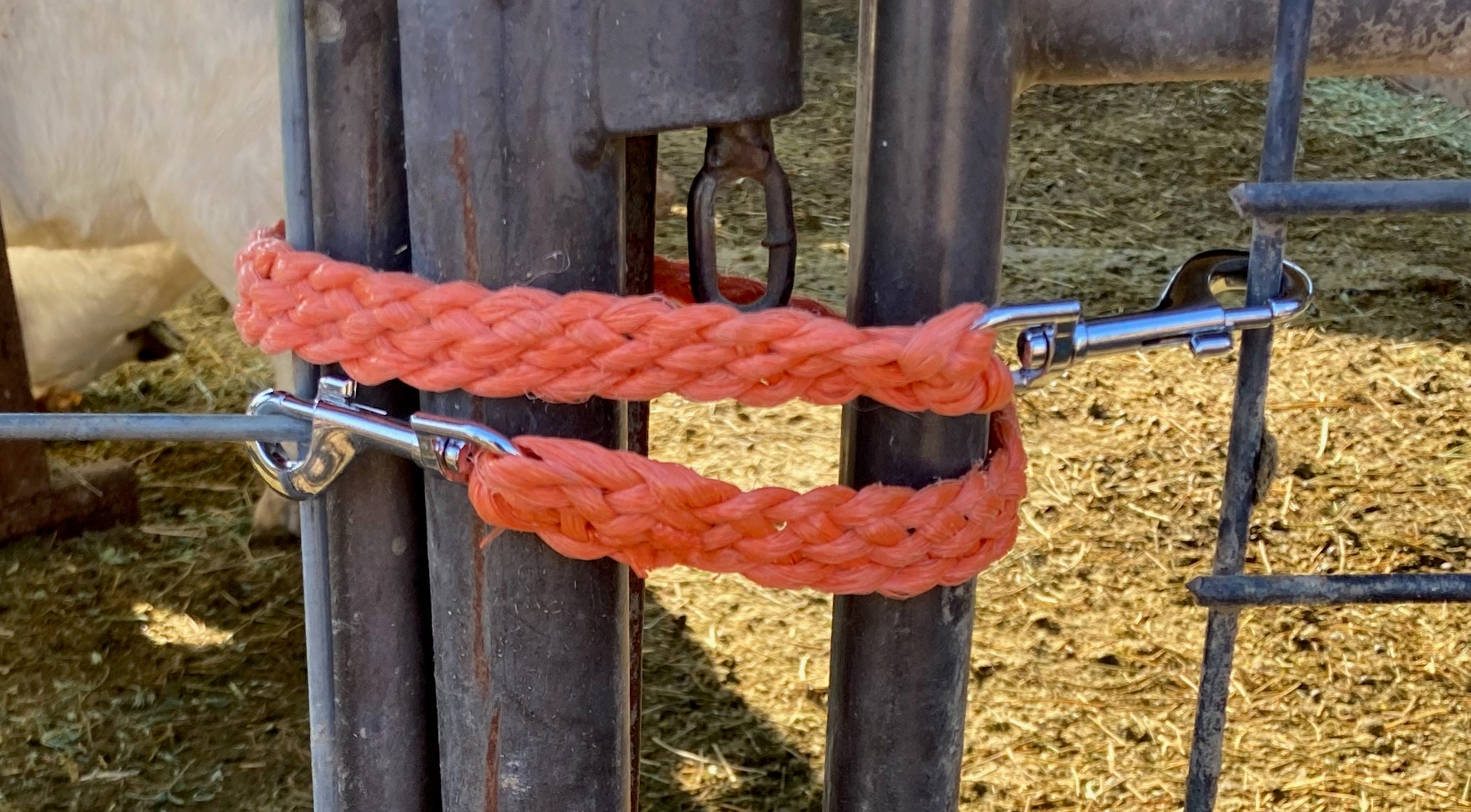 Double Ended Goat Tie Strap - Etsy