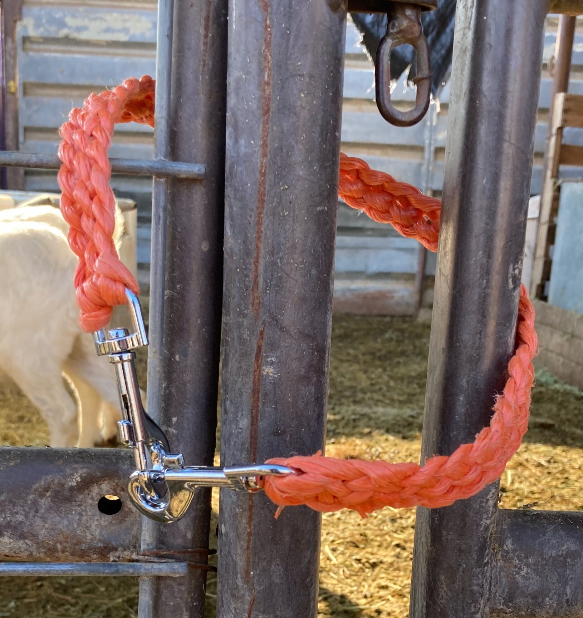 Double Ended Goat Tie Strap - Etsy