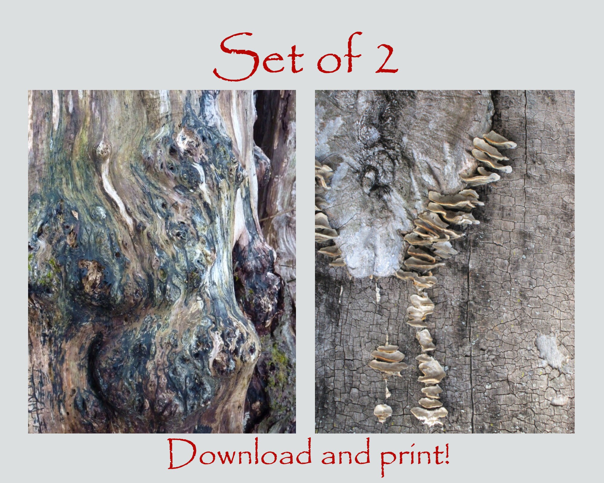 Set of 2 Abstract Tree Trunk Digital Download Art Prints - Etsy