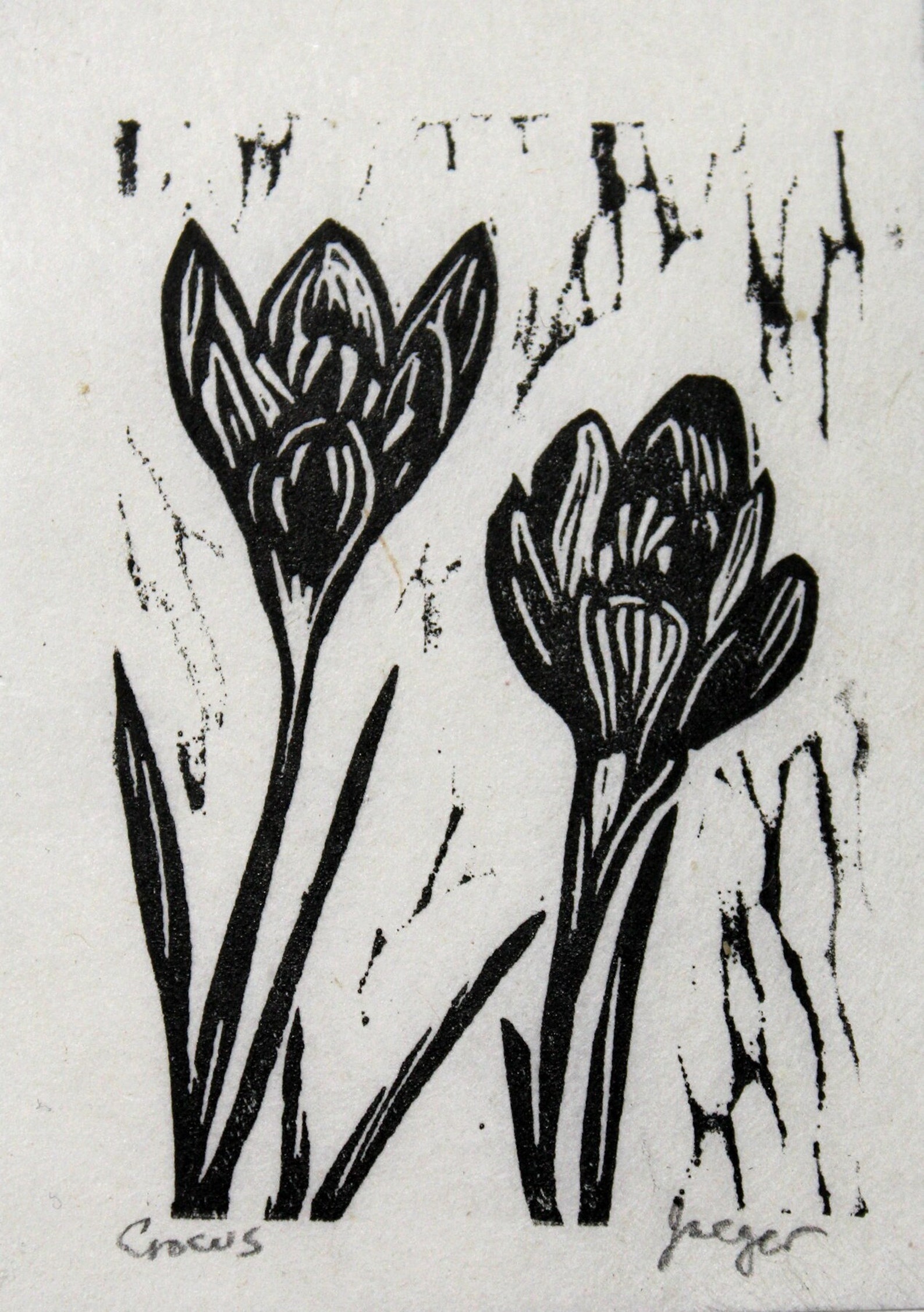 Crocus Flower Mini Print Linocut Block Print #223 - Etsy