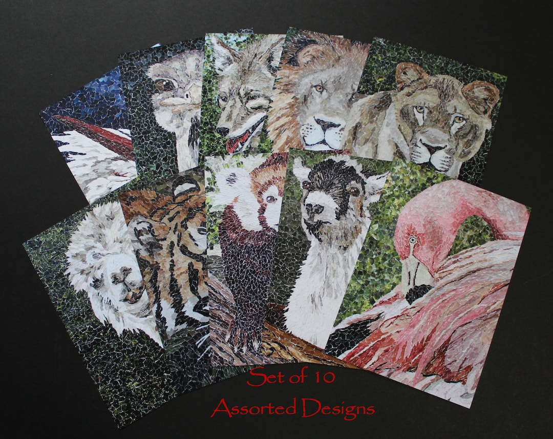 Set of 10 Animal Wildlife Friendship Greeting Cards, 5"x7", Assorted ...
