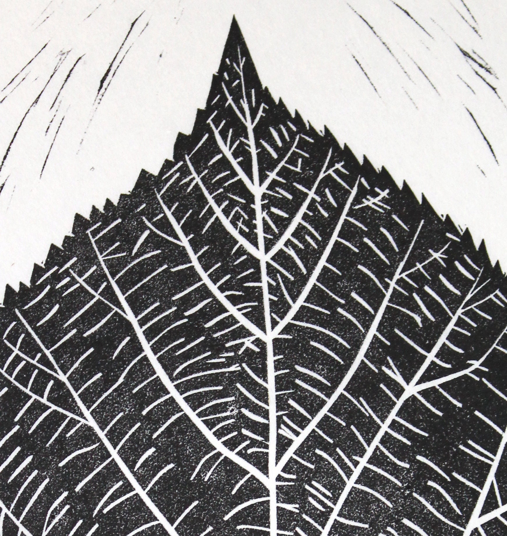 Linden Tree Leaf Black and White Linocut Block Print #123 - Etsy