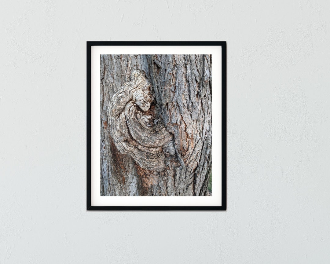 Abstract Tree Trunk Photo Digital Download - Etsy