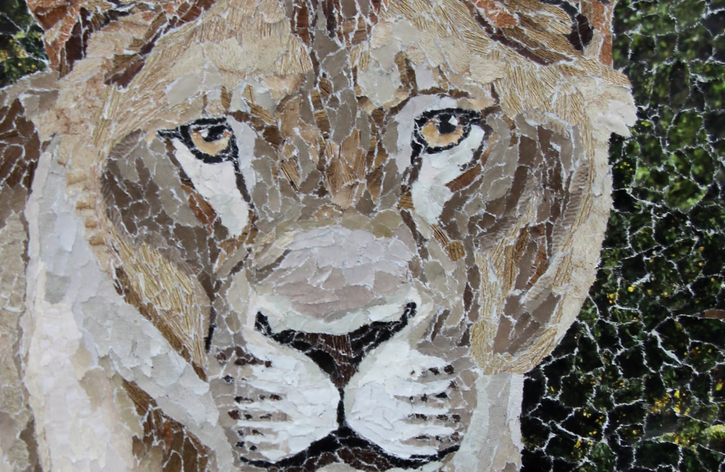 Lioness Lion Art Print Torn Paper Collage Artwork - Etsy