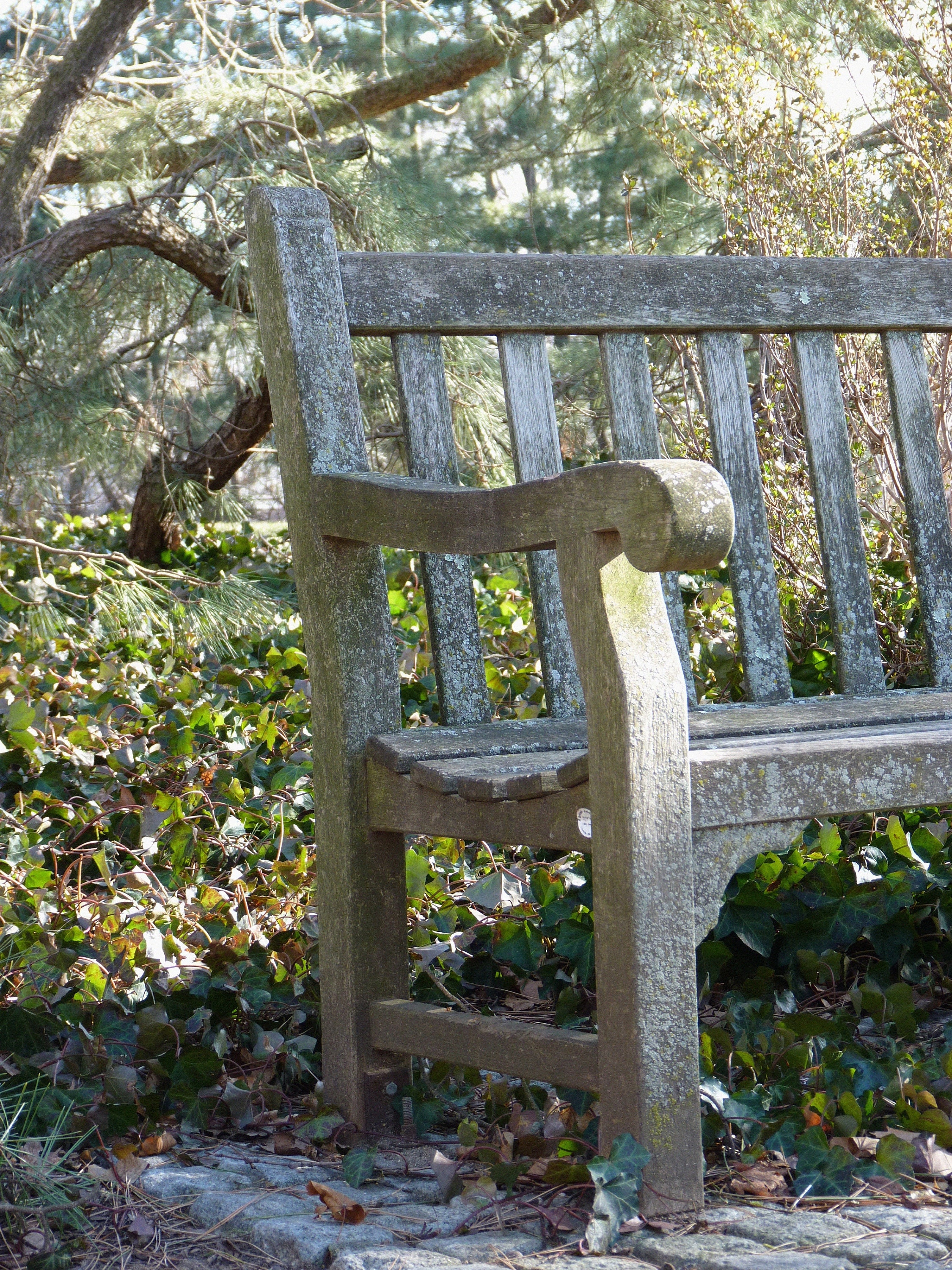 Secret Garden Bench Digital Download Art Print - Etsy