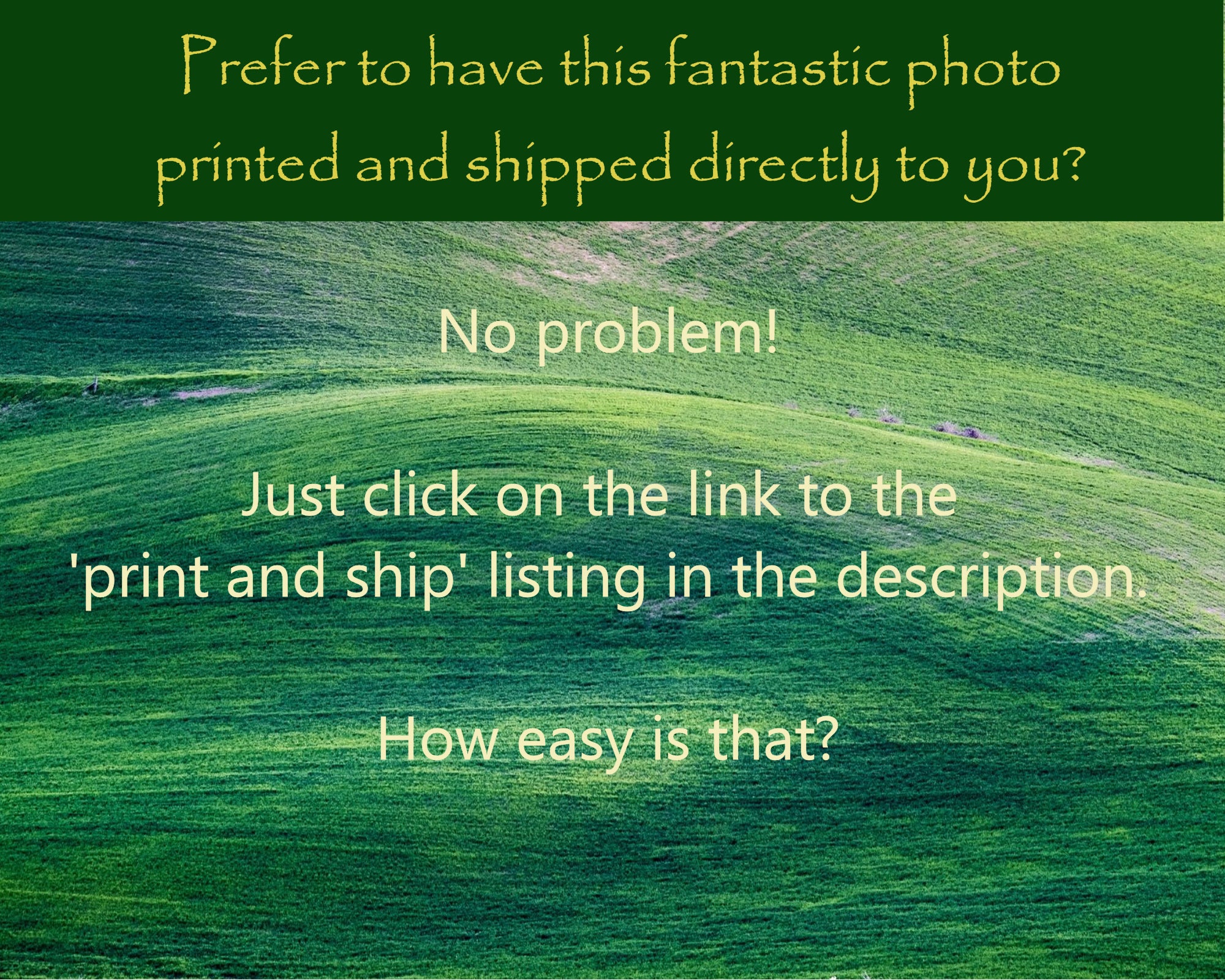 Abstract Tree Trunk Photo Digital Download - Etsy